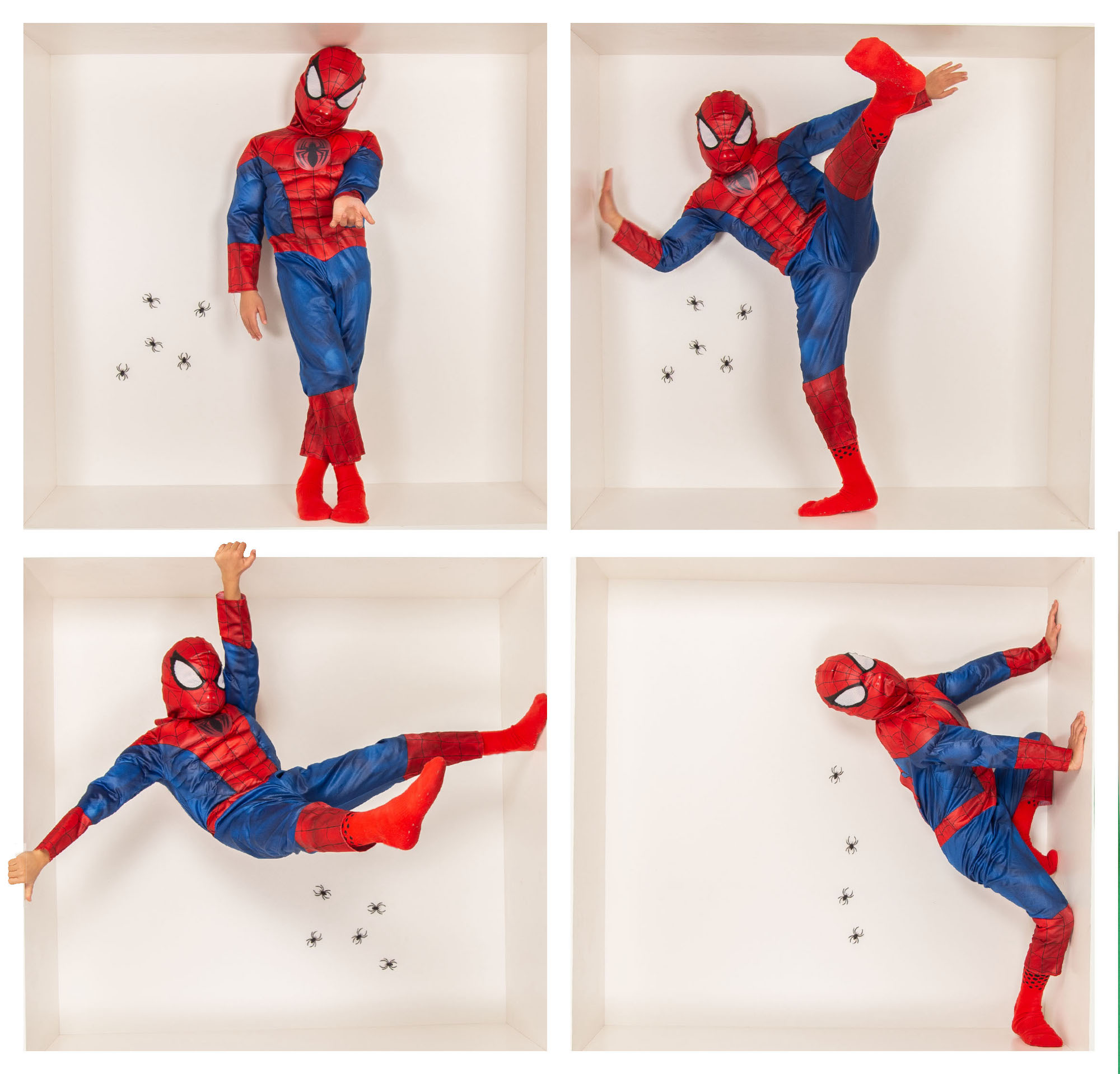Mini Sessions - Plush Photography